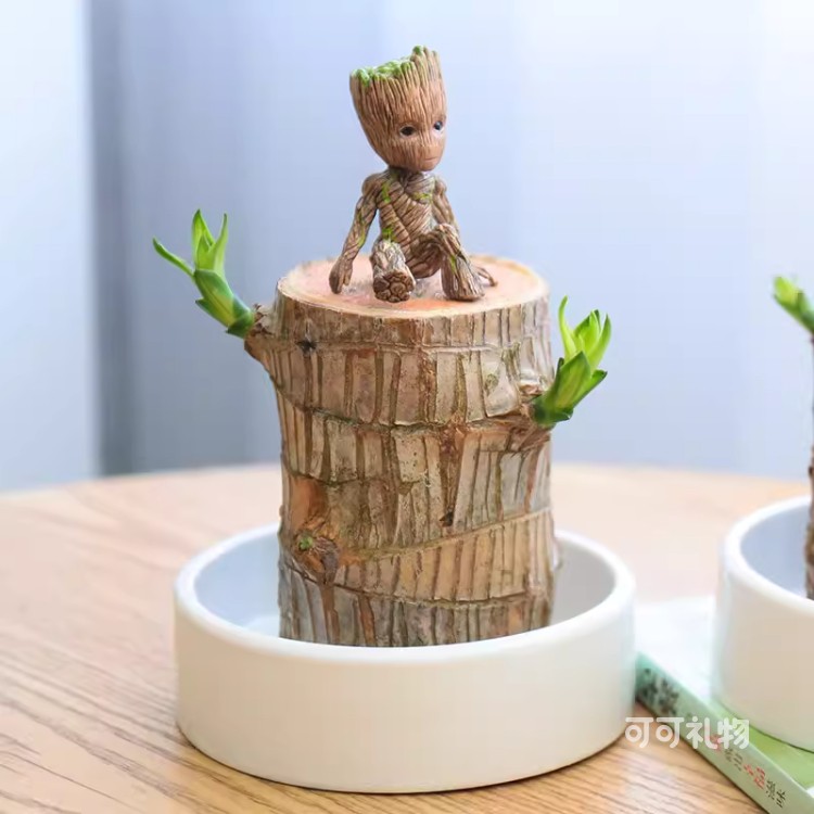 适合送人的盆栽植物（25个礼物推荐） - 礼物城